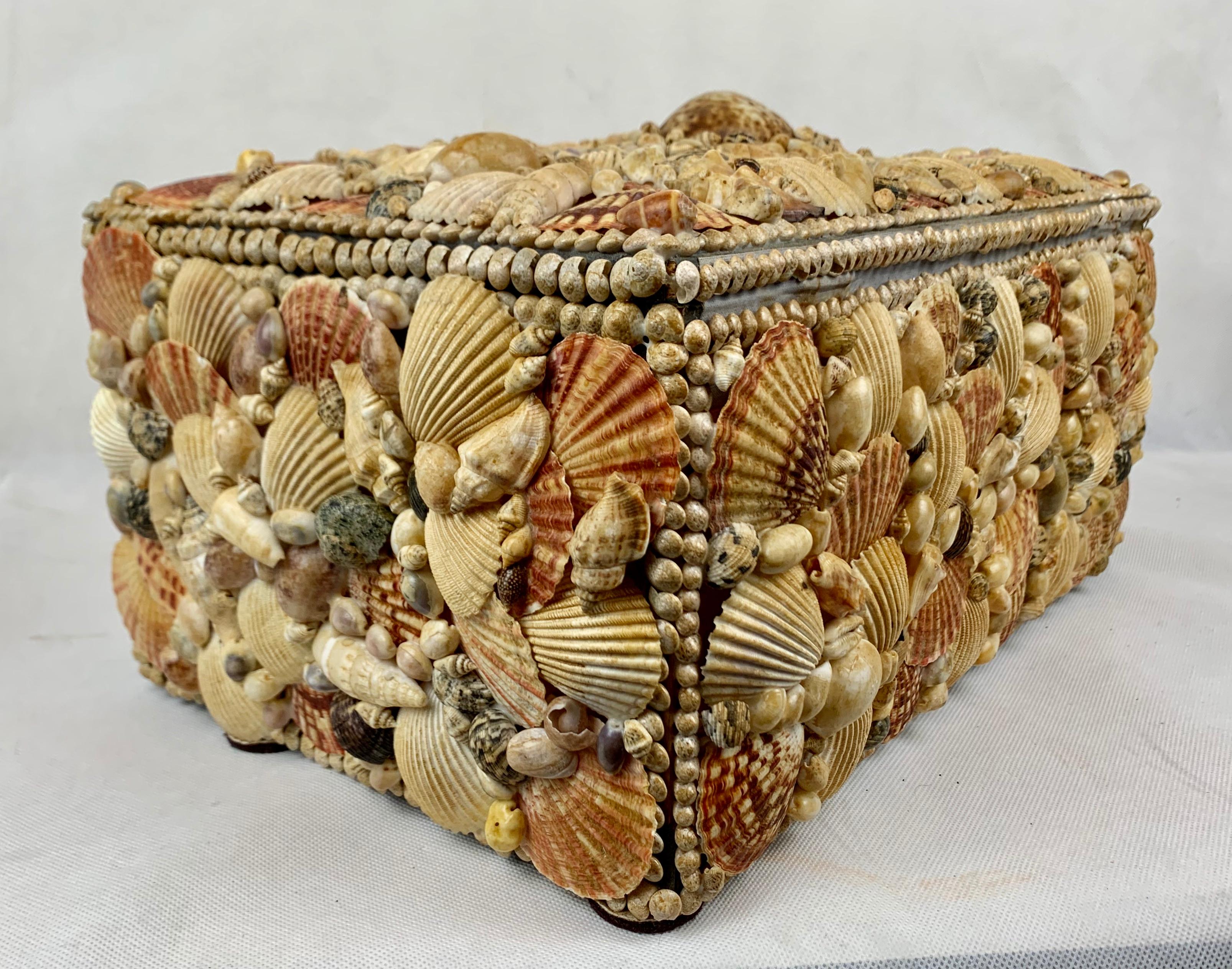 Large Vintage Sea Shell Box at 1stDibs | vintage shell box, shell boxes ...