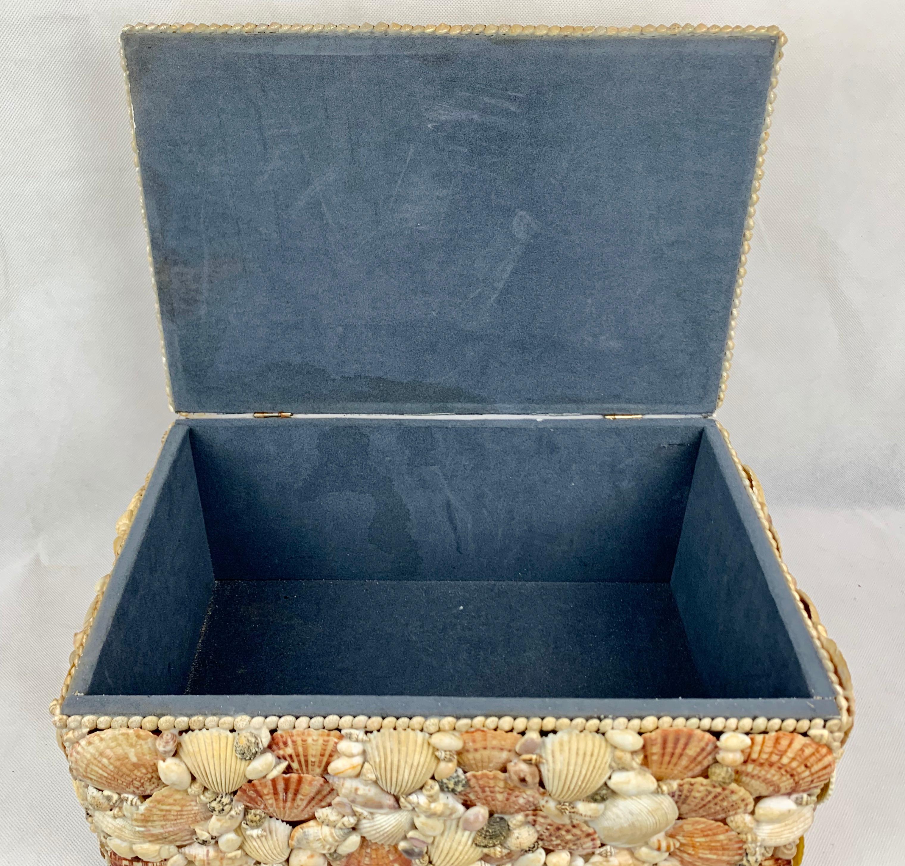 Large Vintage Sea Shell Box at 1stDibs | vintage shell box, shell boxes ...