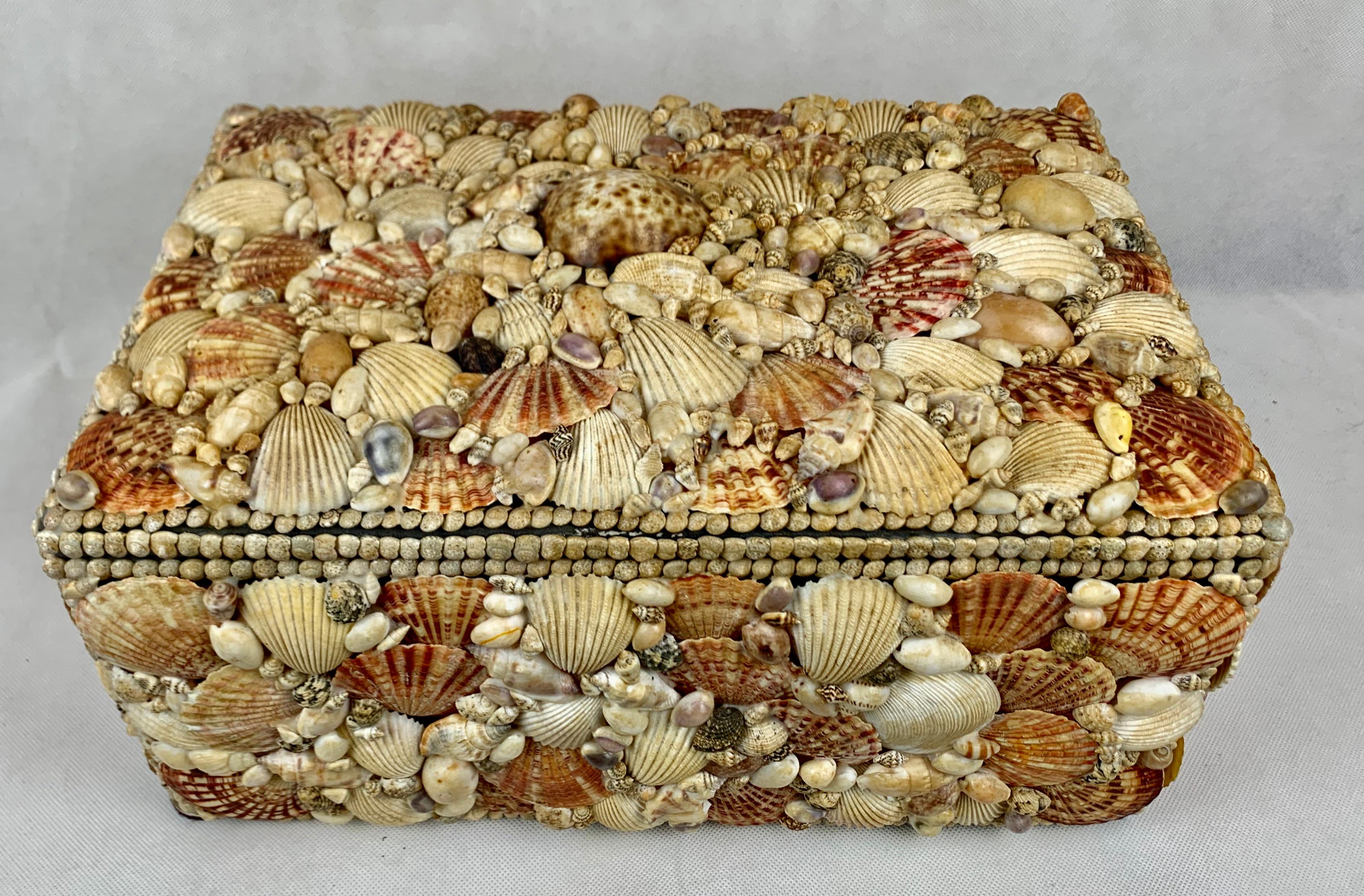 Large Vintage Sea Shell Box at 1stDibs | vintage shell box, shell boxes ...