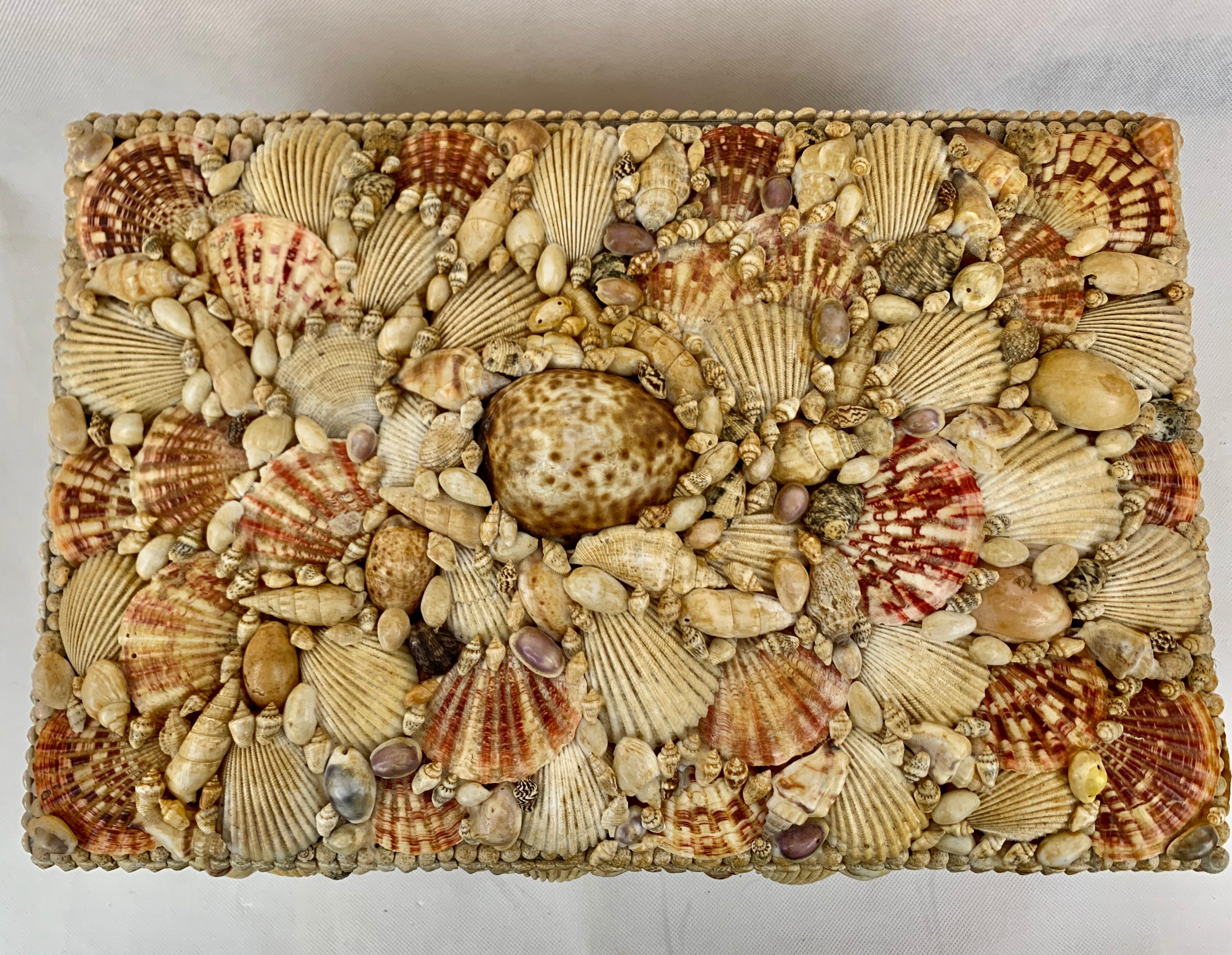 Large Vintage Sea Shell Box at 1stDibs | vintage shell box, shell boxes ...