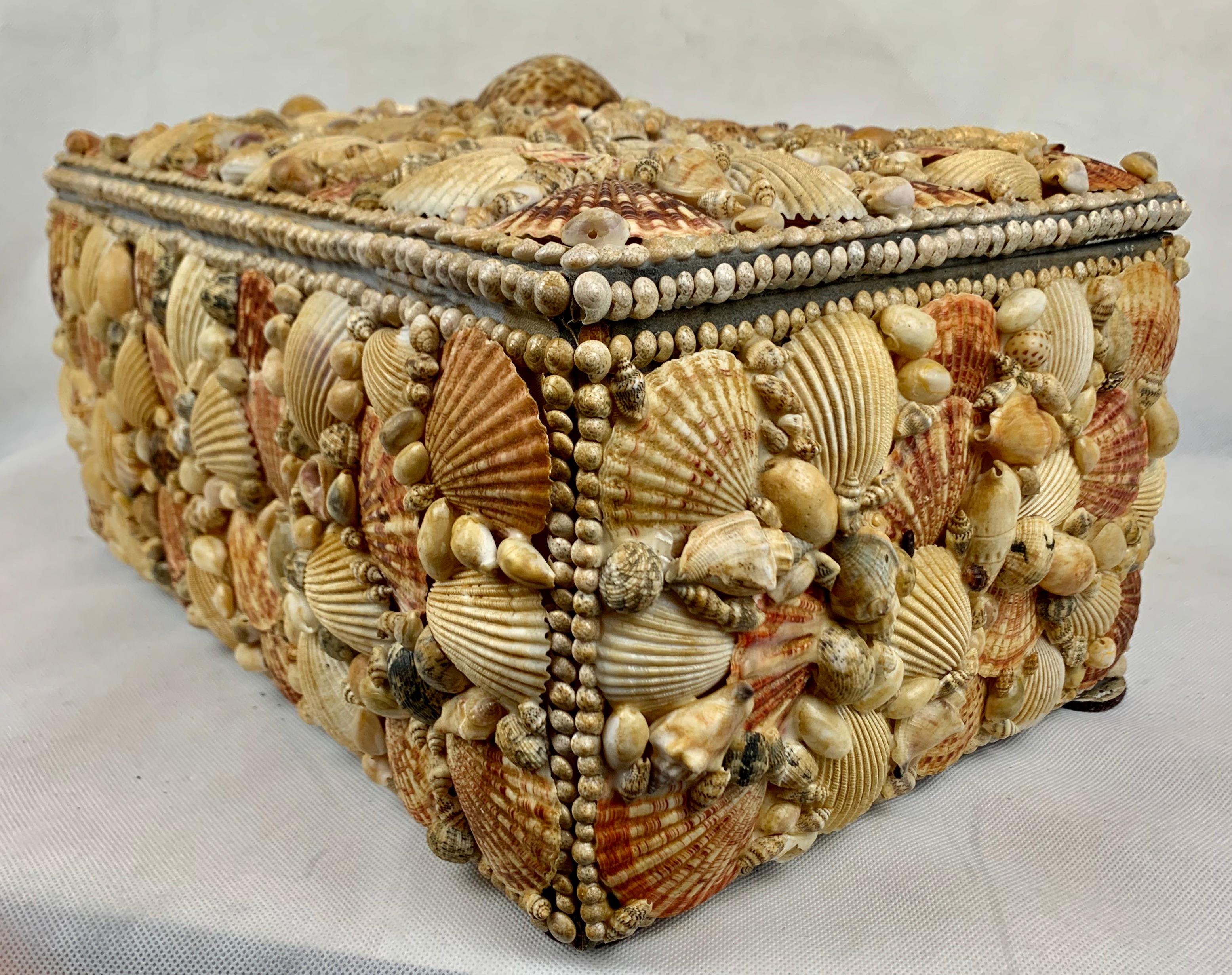 Large Vintage Sea Shell Box at 1stDibs | vintage shell box, shell boxes ...