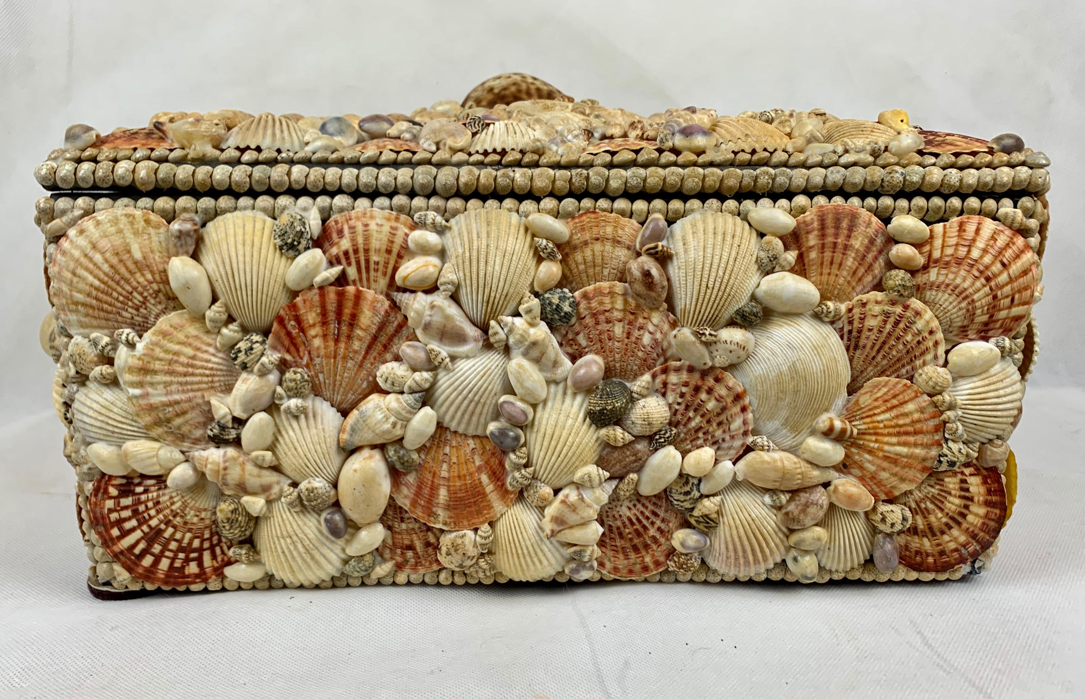 Large Vintage Sea Shell Box at 1stDibs | vintage shell box, shell boxes ...