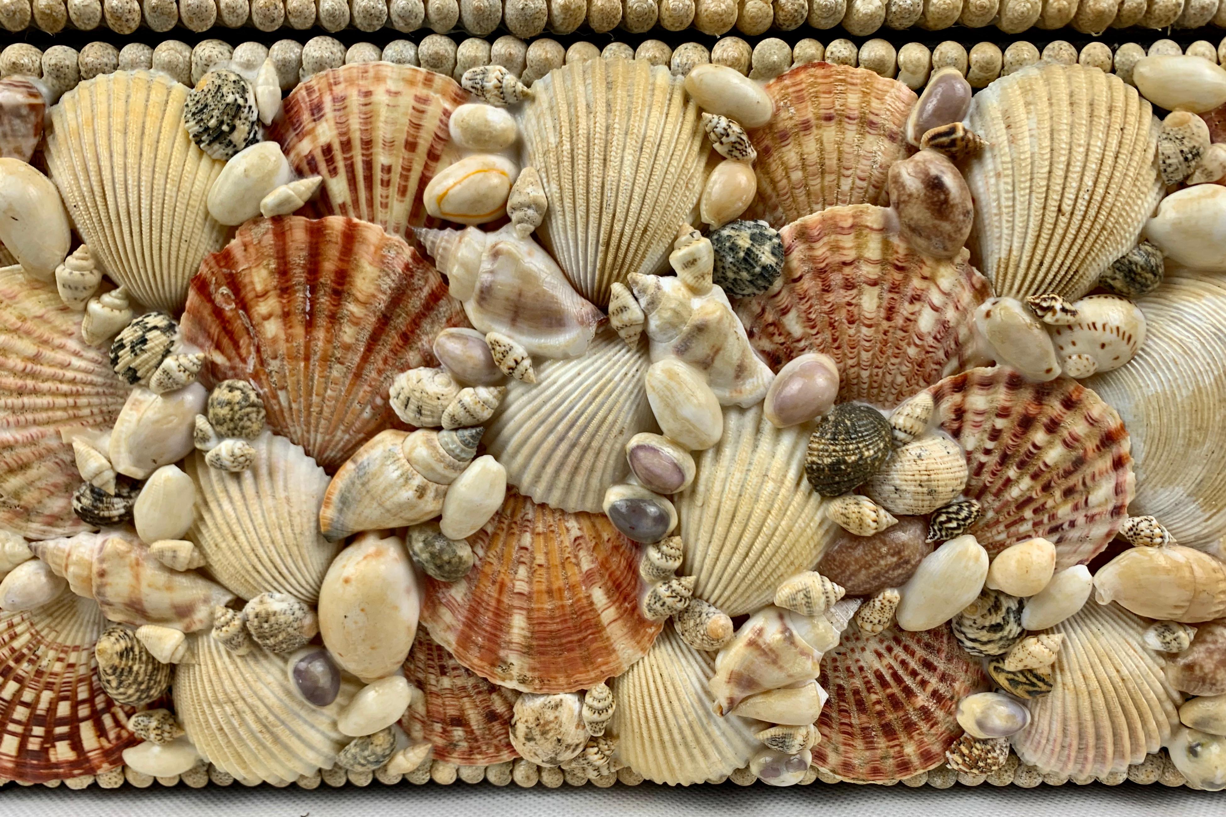 Large Vintage Sea Shell Box at 1stDibs | vintage shell box, shell boxes ...