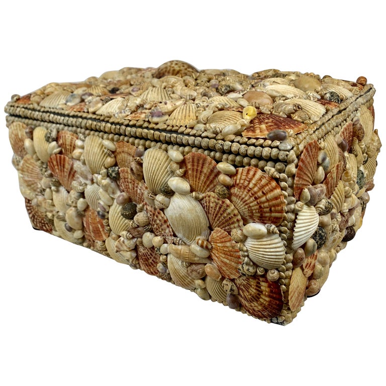 Large Vintage Sea Shell Box at 1stDibs