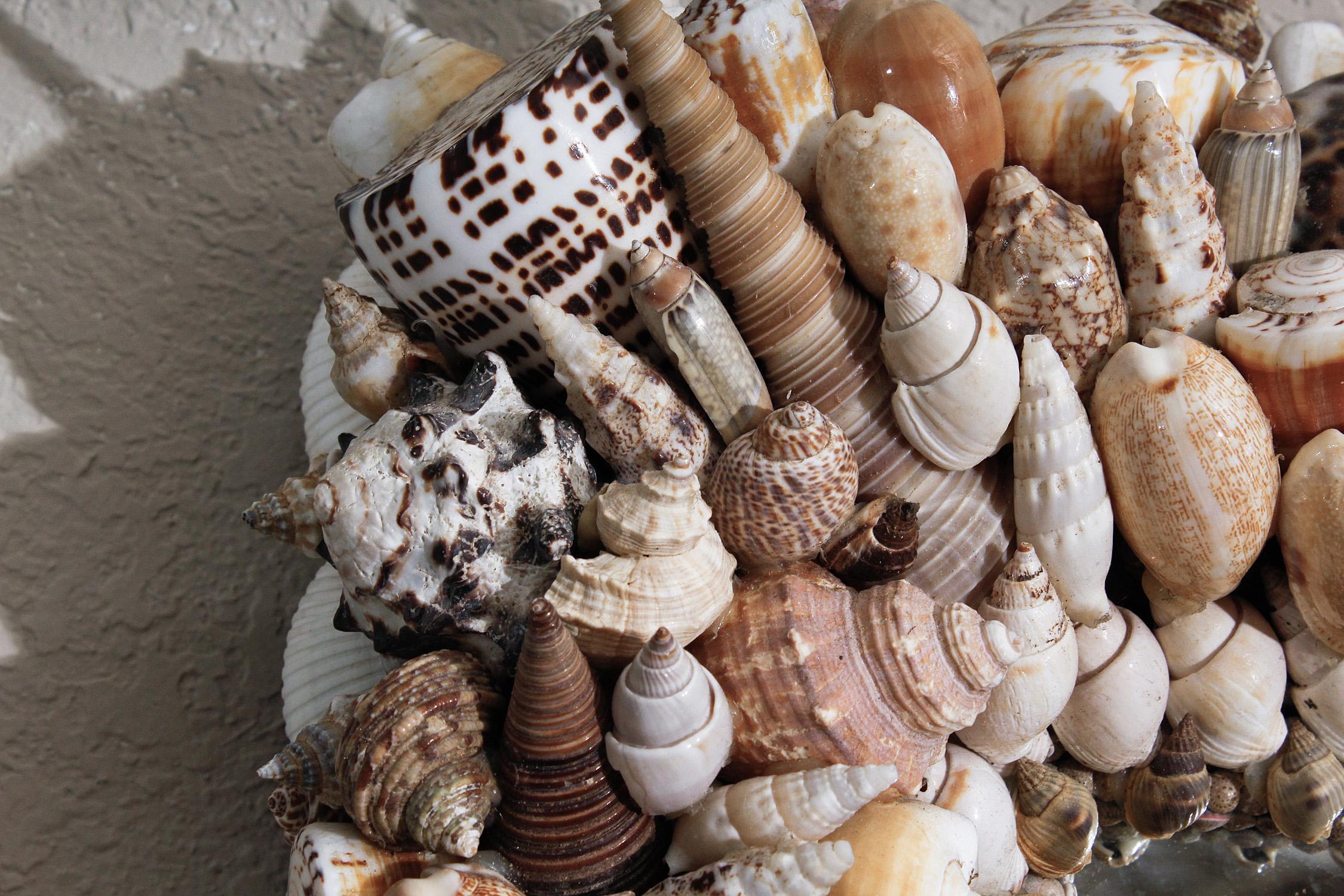 Large Vintage Sea Shell Encrusted Mirror at 1stDibs