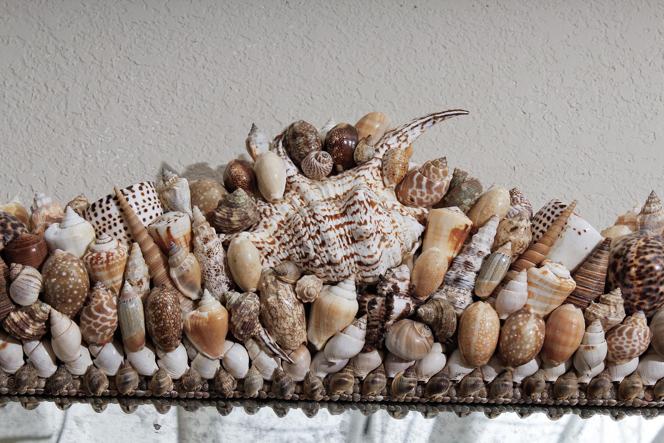 Large Vintage Sea Shell Encrusted Mirror at 1stDibs