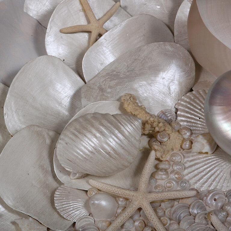 Large Vintage Seashell Mirror from Paris at 1stDibs | vintage shell ...