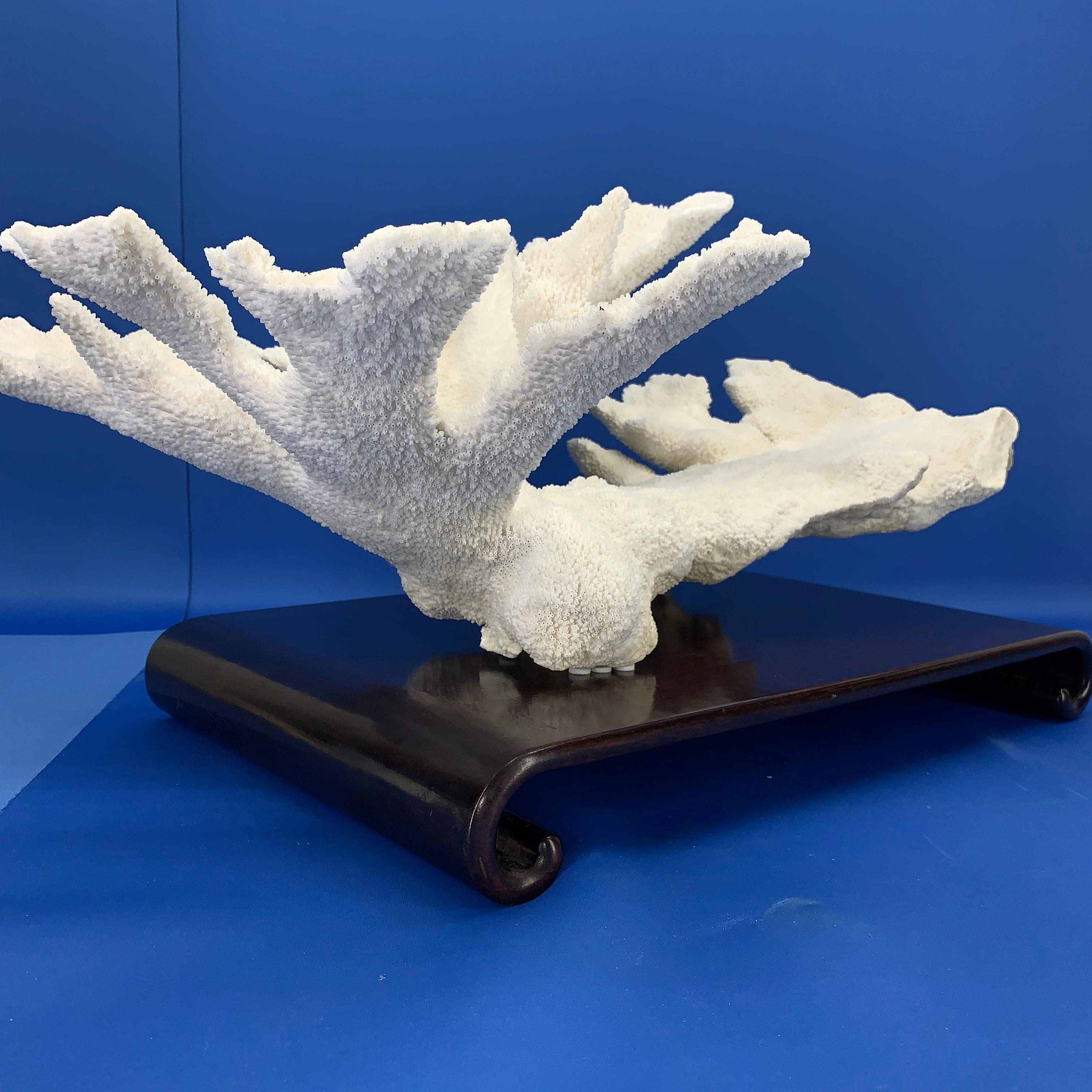 Large Vintage Stand Alone Coral Sculpture Centerpiece Chinese Hard-Wood ...