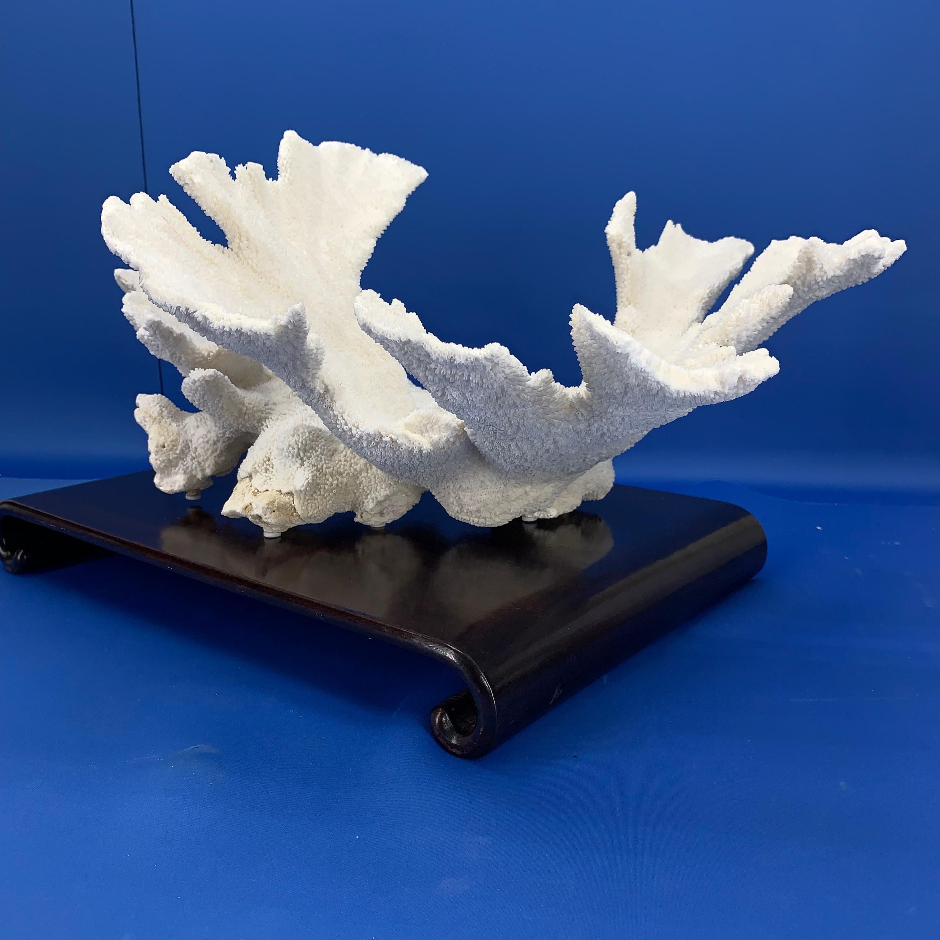 Large Vintage Stand Alone Coral Sculpture Centerpiece Chinese Hard-Wood ...