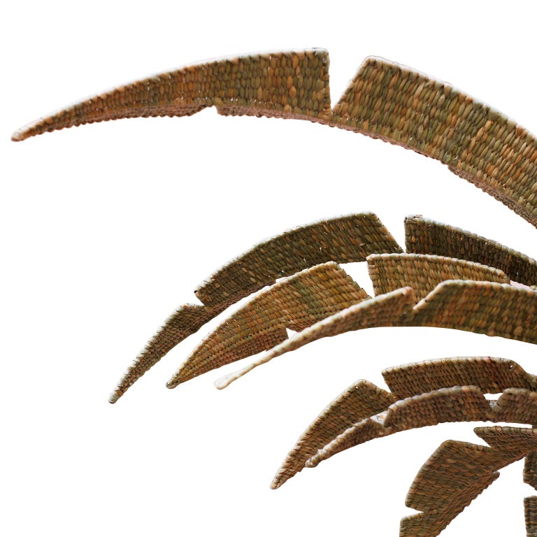 Large Wicker Palm Tree with Coconut at 1stDibs