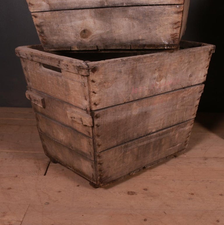 Large Wooden Grape Bins at 1stDibs