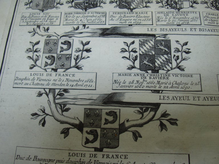 Louis Xiv Family Tree