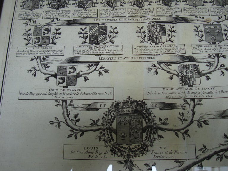 Louis Xiv Family Tree