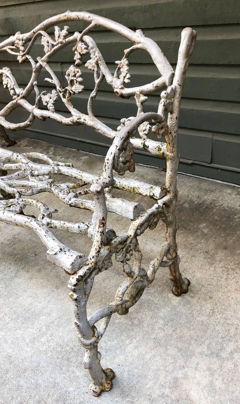 Late 19th Century American Cast Iron Garden Benches For Sale at 1stDibs