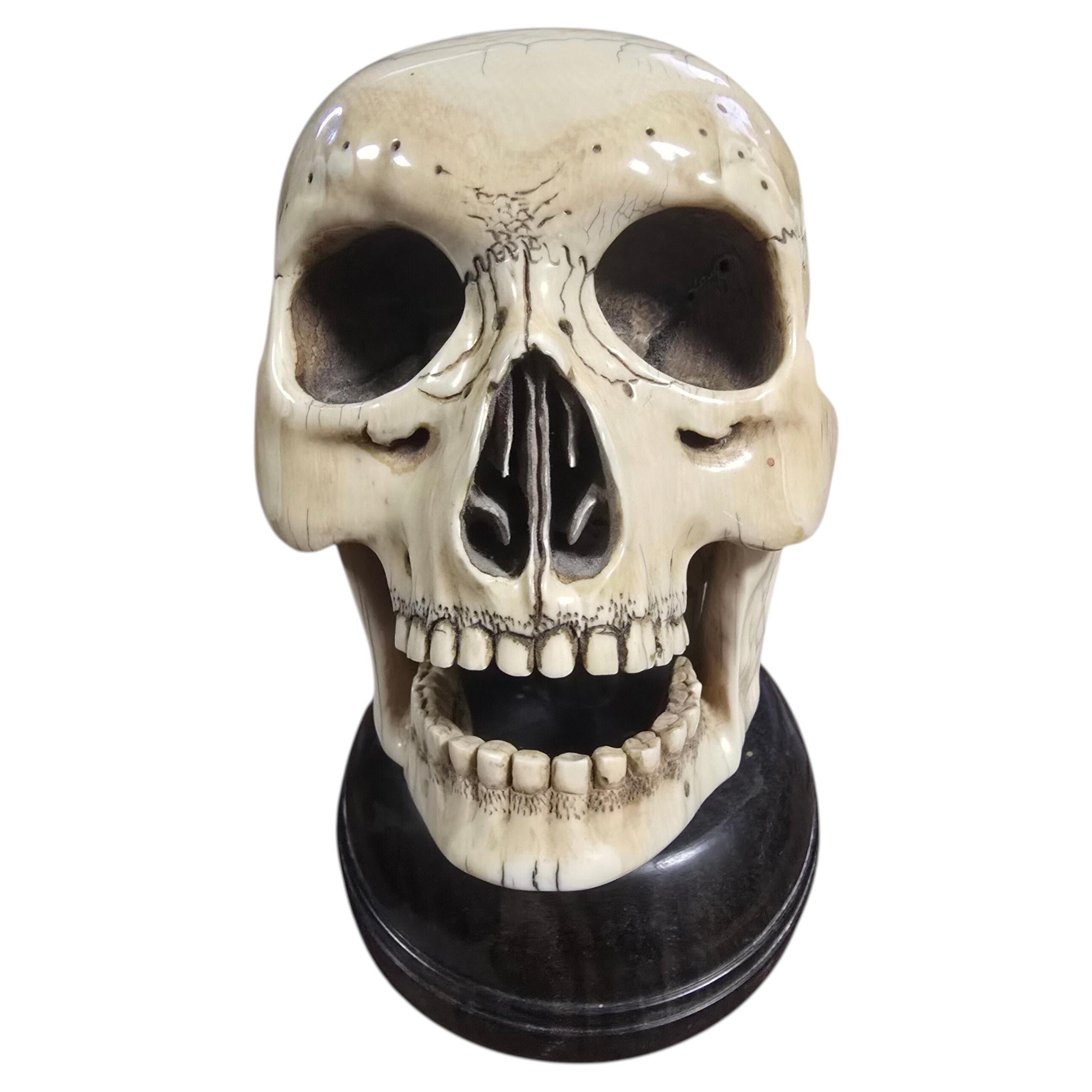 Terracotta Memento Mori Skull Sculpture, Italy 17th Century For Sale at ...