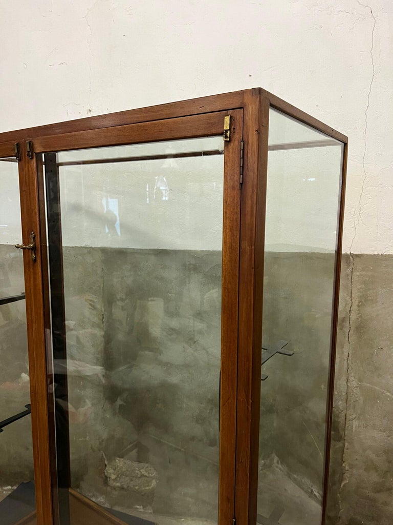 Late 19th Century, English Museum Display Case, Vitrine at 1stDibs ...