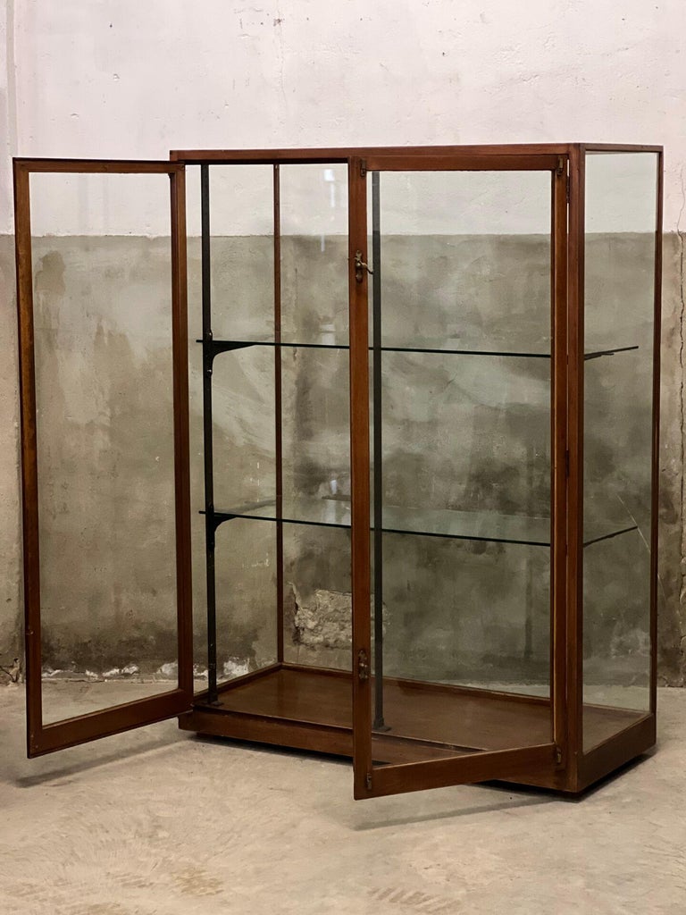 Late 19th Century, English Museum Display Case, Vitrine at 1stDibs ...