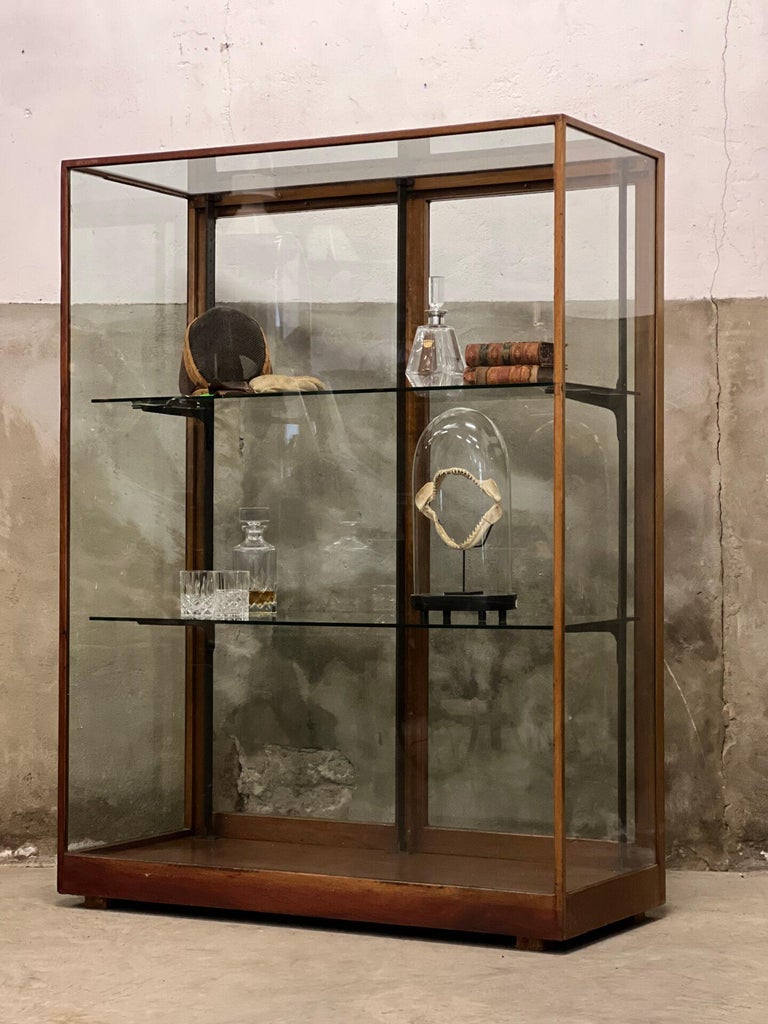 Late 19th Century, English Museum Display Case, Vitrine at 1stDibs ...