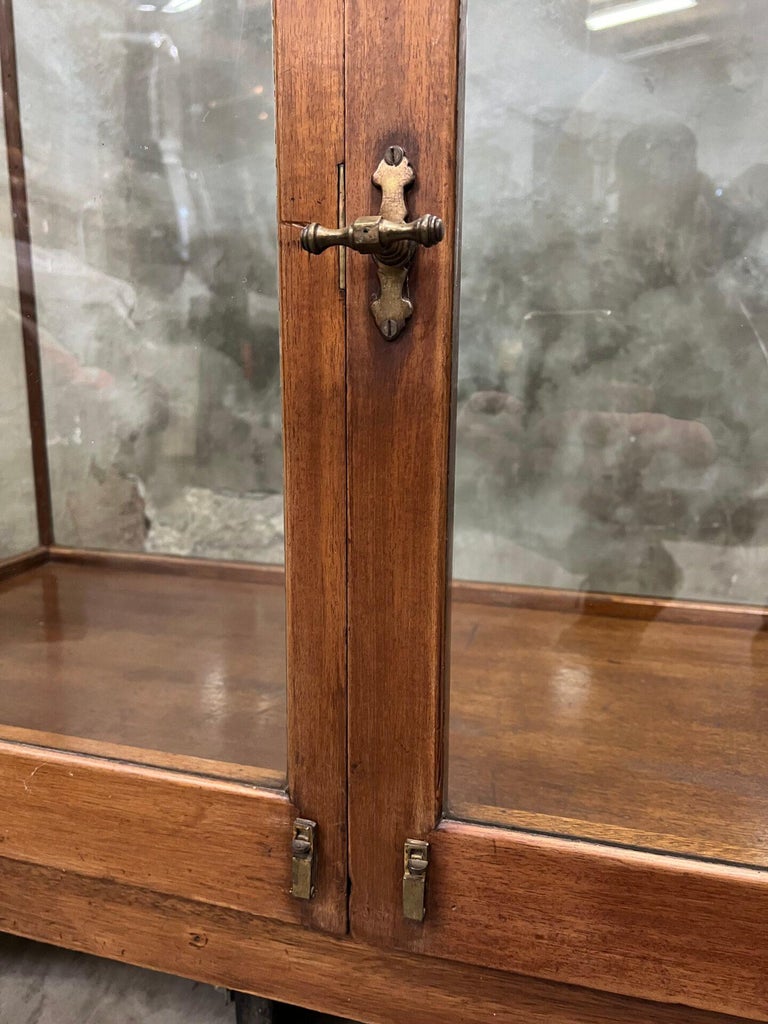 Late 19th Century, English Museum Display Case, Vitrine at 1stDibs ...