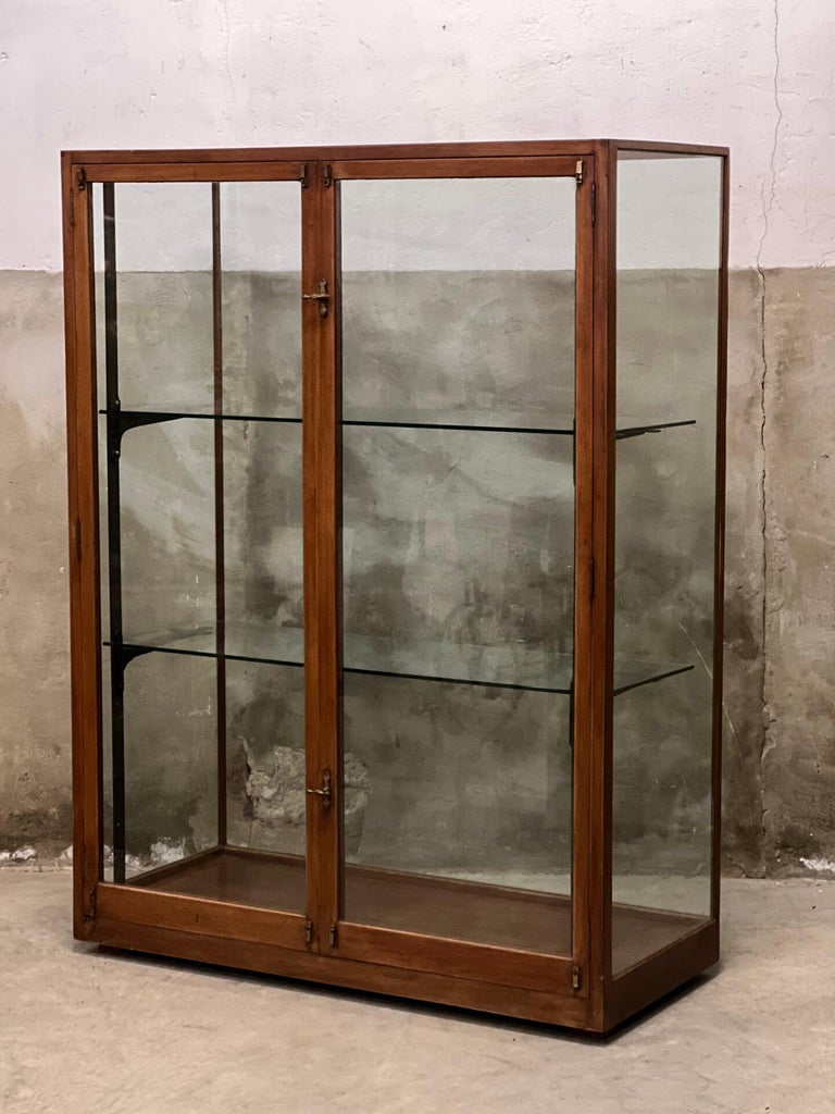 Late 19th Century, English Museum Display Case, Vitrine at 1stDibs ...