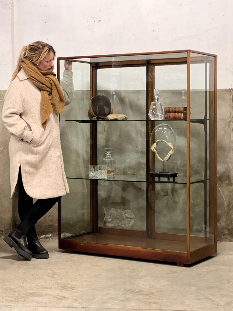Late 19th Century, English Museum Display Case, Vitrine at 1stDibs ...