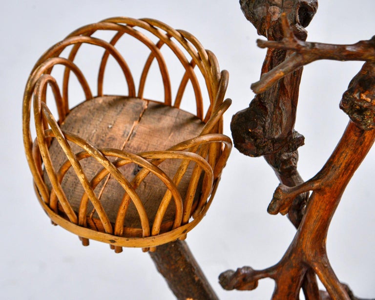 Late 19th Century French Natural Form Twig Plant Stand at 1stDibs