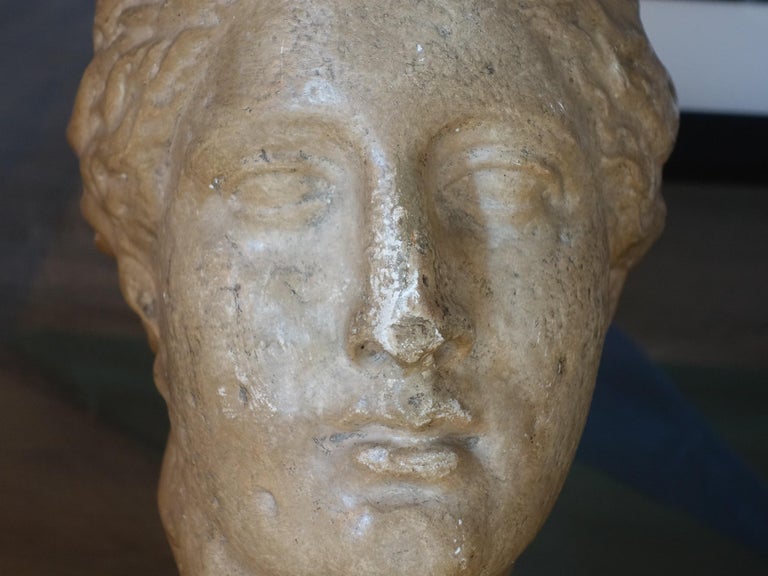Late 19th Century Italian Gypsum Female Head, Black Gypsum Base at 1stDibs