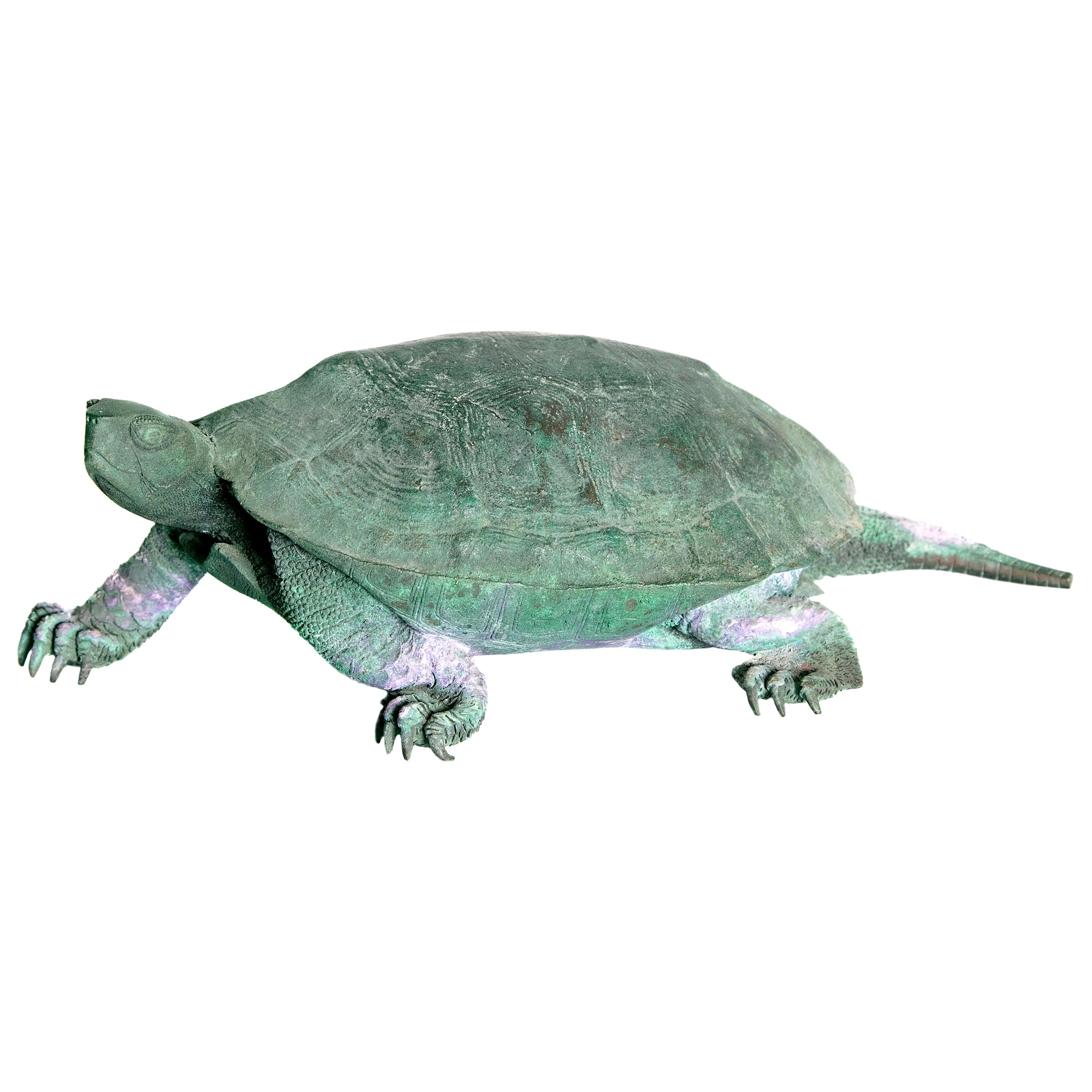 Late 19th Century Japanese Bronze Tortoise, Meiji Period at 1stDibs