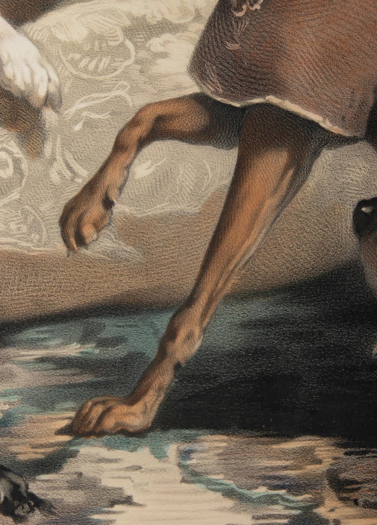 Late 19th Century Lithograph with Dogs, Joséphine Ducollet For Sale at ...