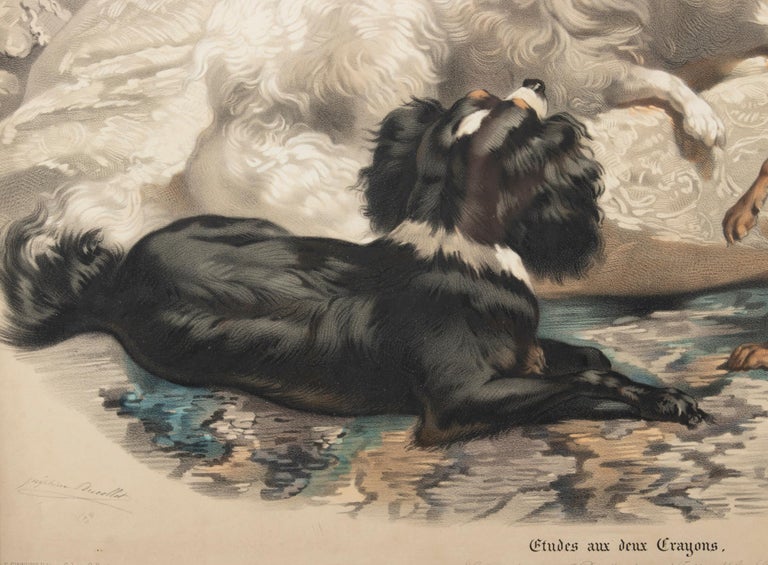 Late 19th Century Lithograph with Dogs, Joséphine Ducollet For Sale at ...