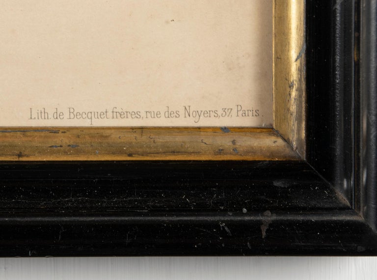 Late 19th Century Lithograph with Dogs, Joséphine Ducollet For Sale at ...