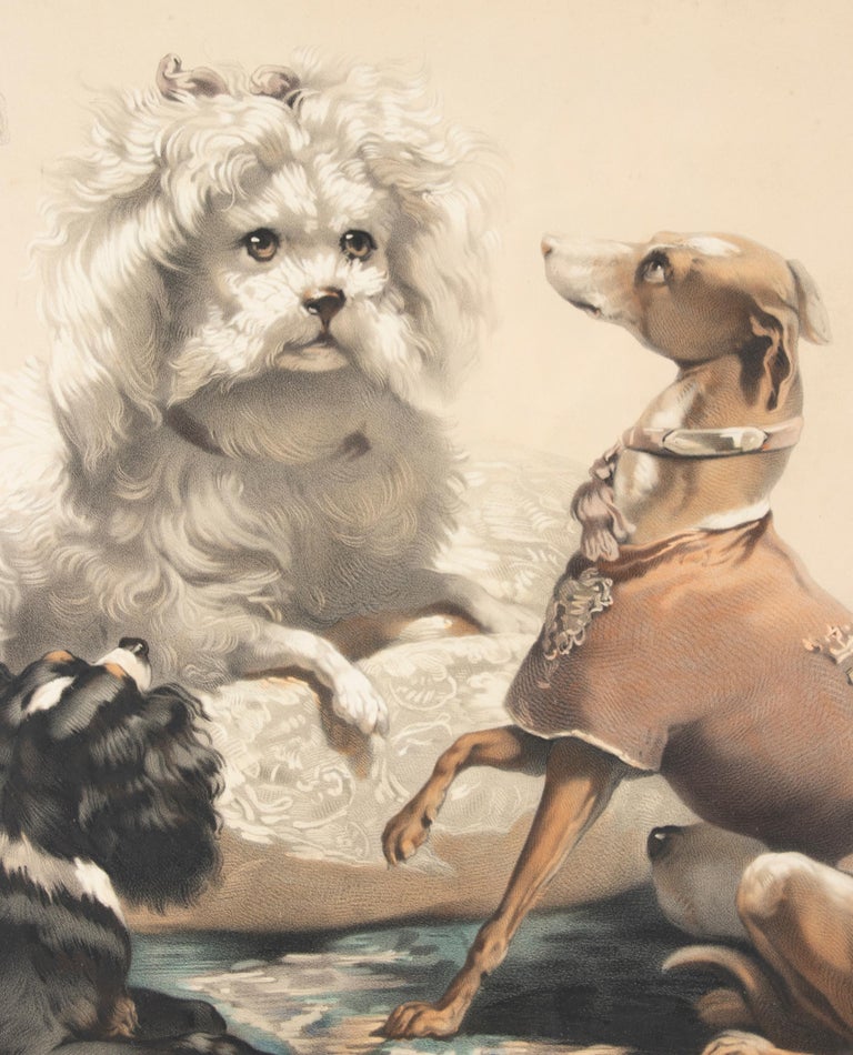 Late 19th Century Lithograph with Dogs, Joséphine Ducollet For Sale at ...