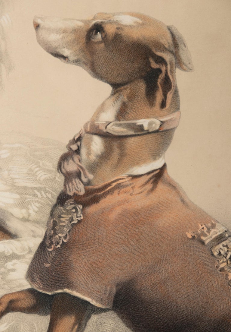 Late 19th Century Lithograph with Dogs, Joséphine Ducollet For Sale at ...