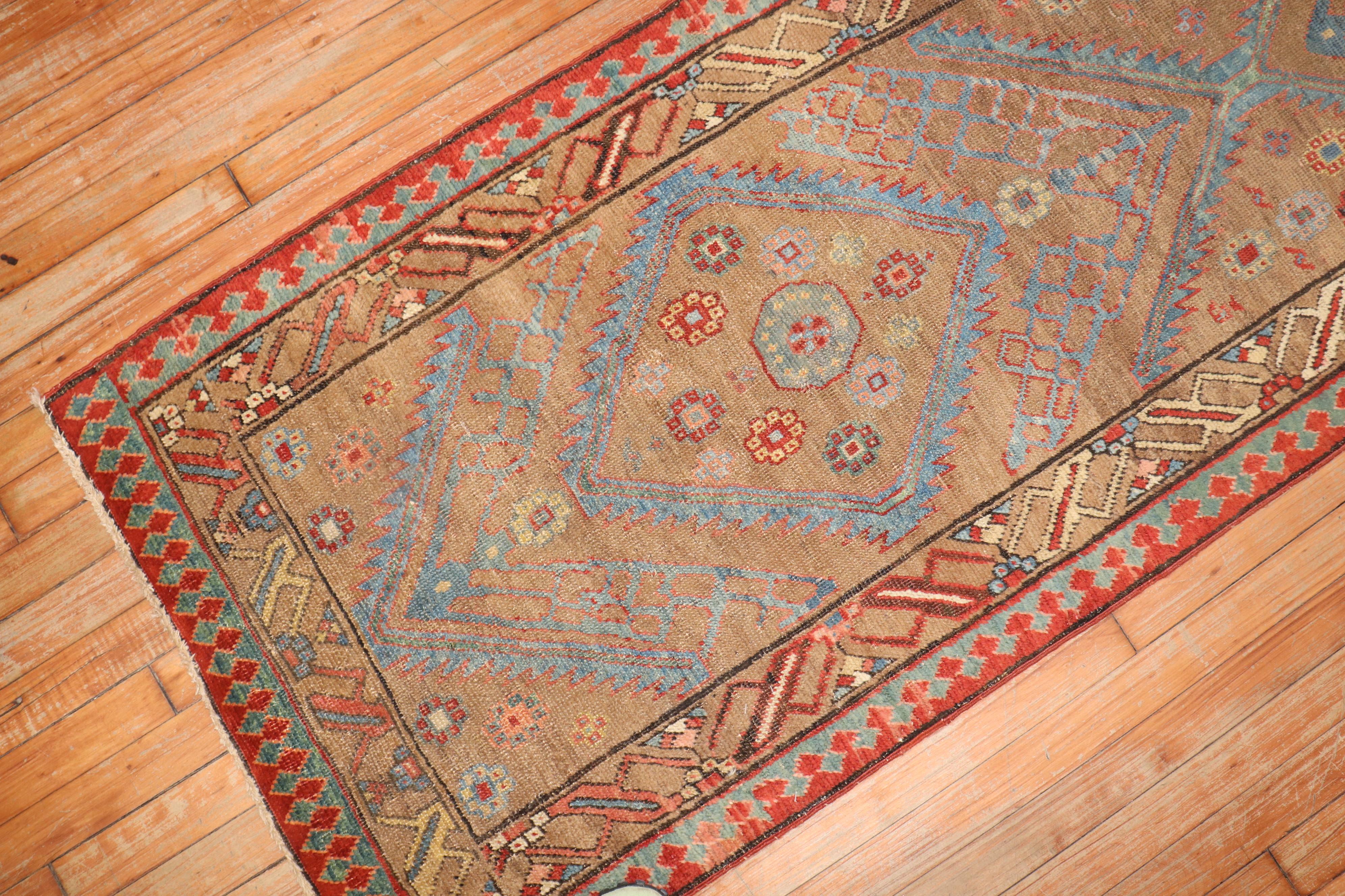 Late 19th Century Persian Camel Bakshaish Runner at 1stDibs