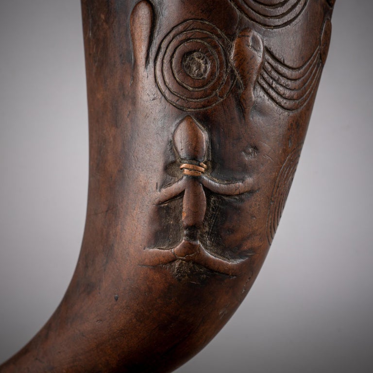 Late 19th Century Tribal Kuba Drinking Horn, D.R. Congo For Sale at 1stDibs