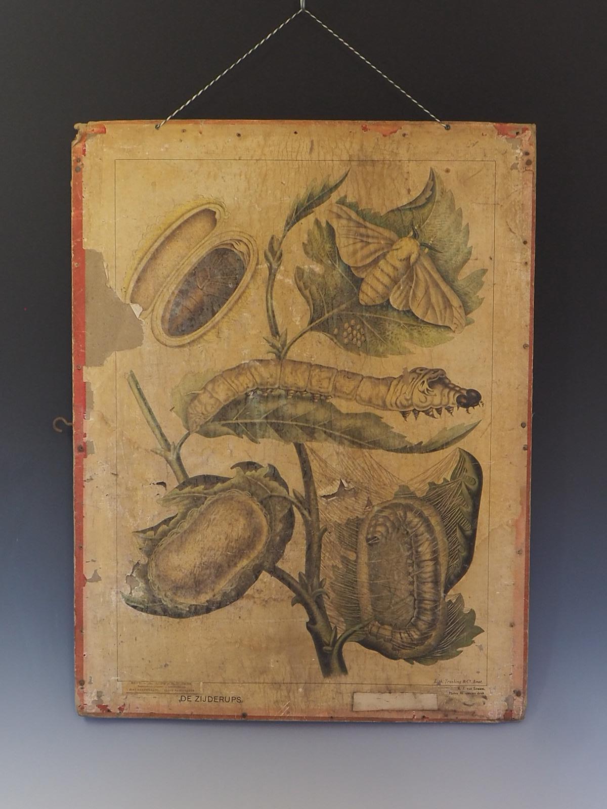 Late 19th Dutch Lithograph School Poster Print by H J van Lummel “The ...