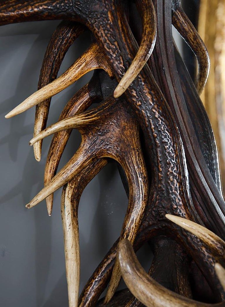 Large Oval Antler Horn Mirror at 1stDibs