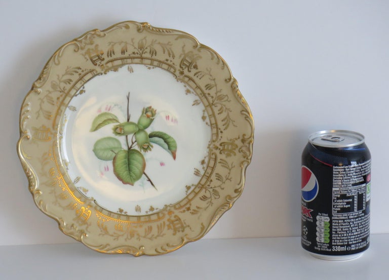 Late Georgian Porcelain Botanical Plate by H and R Daniel or S Alcock ...