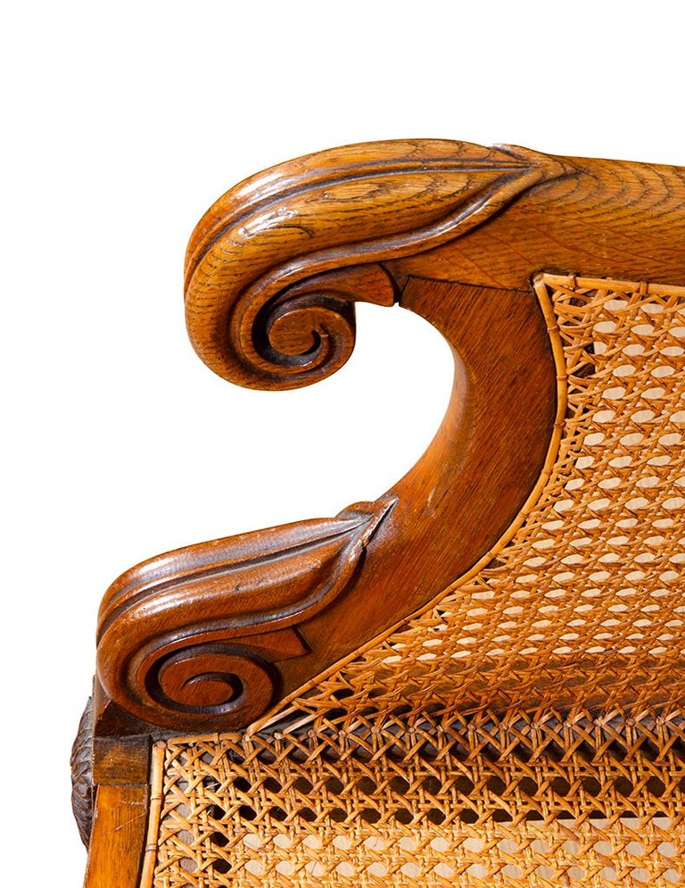 Late Regency Oak and Caned Tub Chair For Sale at 1stDibs