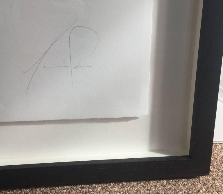 Laura Jordan - Current Affairs For Sale at 1stDibs