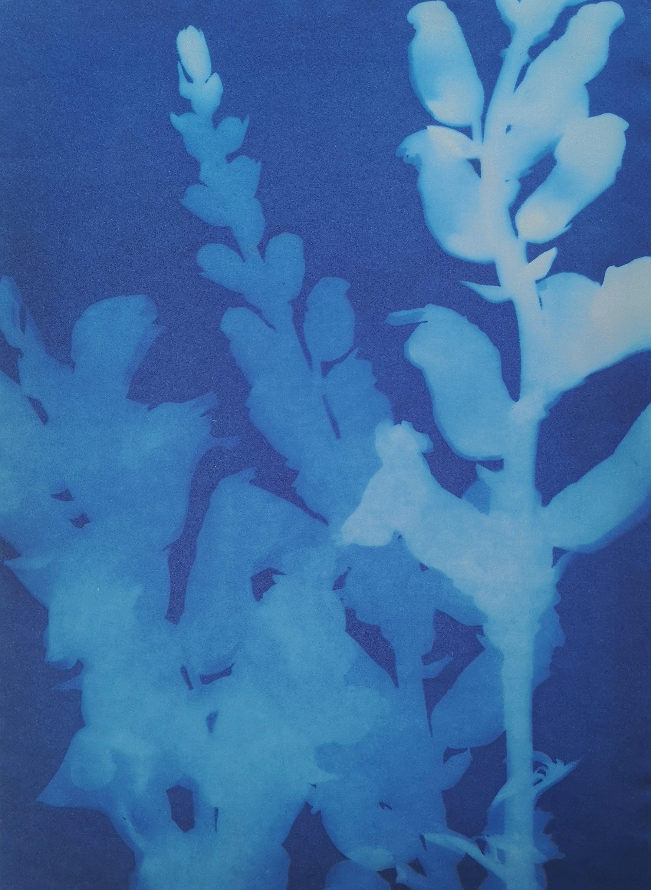 Laura Kay Keeling - Untitled Cyanotype 008 - contemporary monochromatic ...