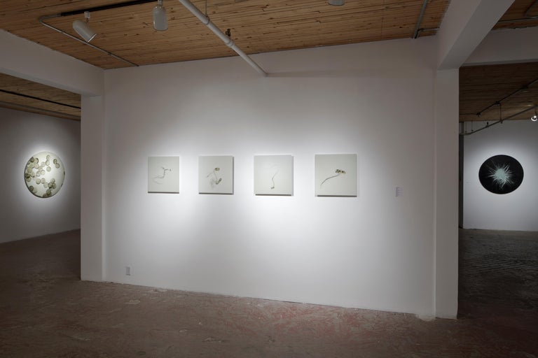 Laurent Lamarche - Celly 2 For Sale at 1stDibs