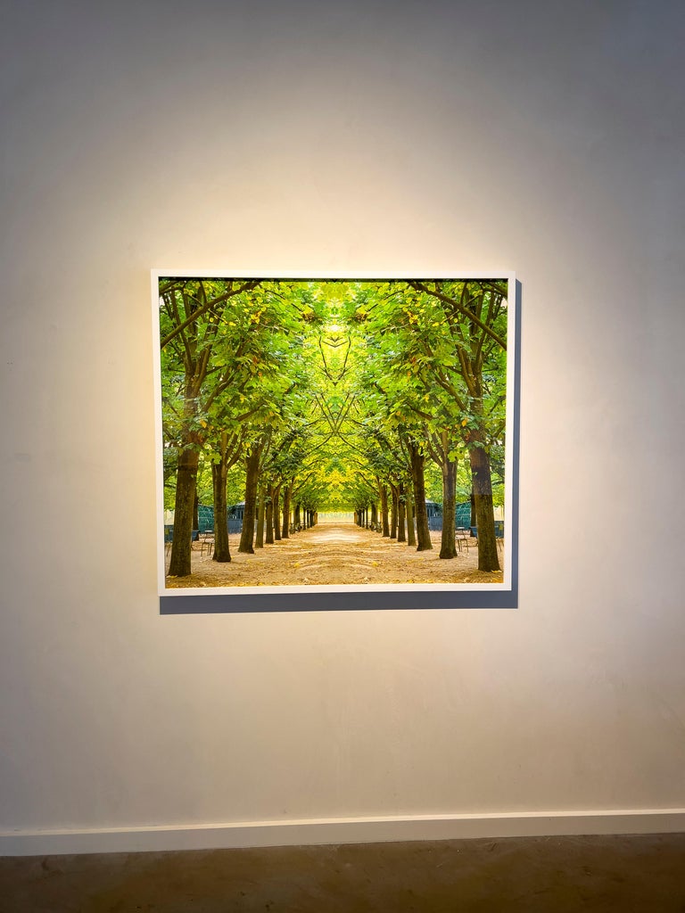 Laurie Victor Kay - Trees III, Luxembourg- color landscape photograph ...