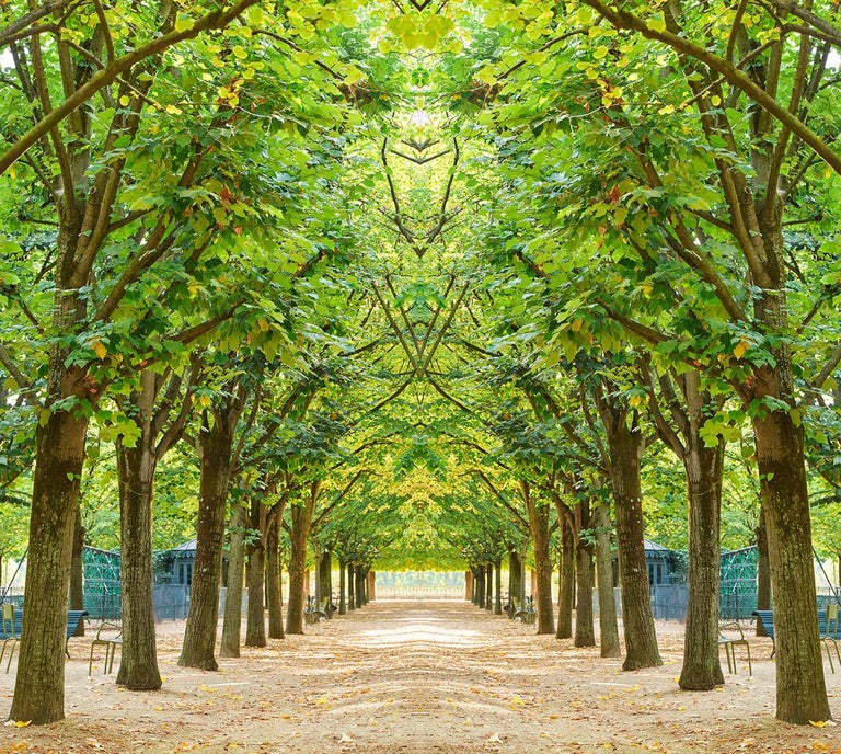 Laurie Victor Kay - Trees III, Luxembourg- color landscape photograph ...