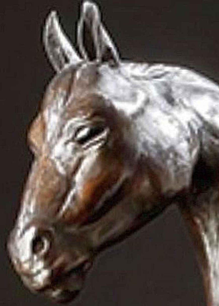 Leather Horse Model For Sale at 1stDibs