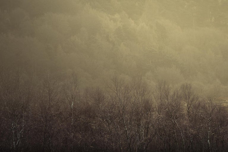 Lee Acaster - Frontline For Sale at 1stDibs