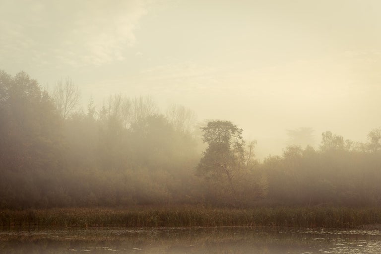 Lee Acaster - Ophelia For Sale at 1stDibs