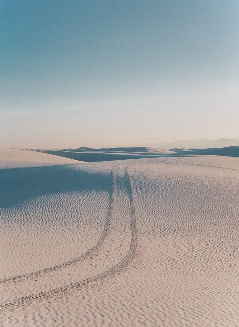 Leeor Wild - White Sands - contemporary isolated cool desert portrait ...