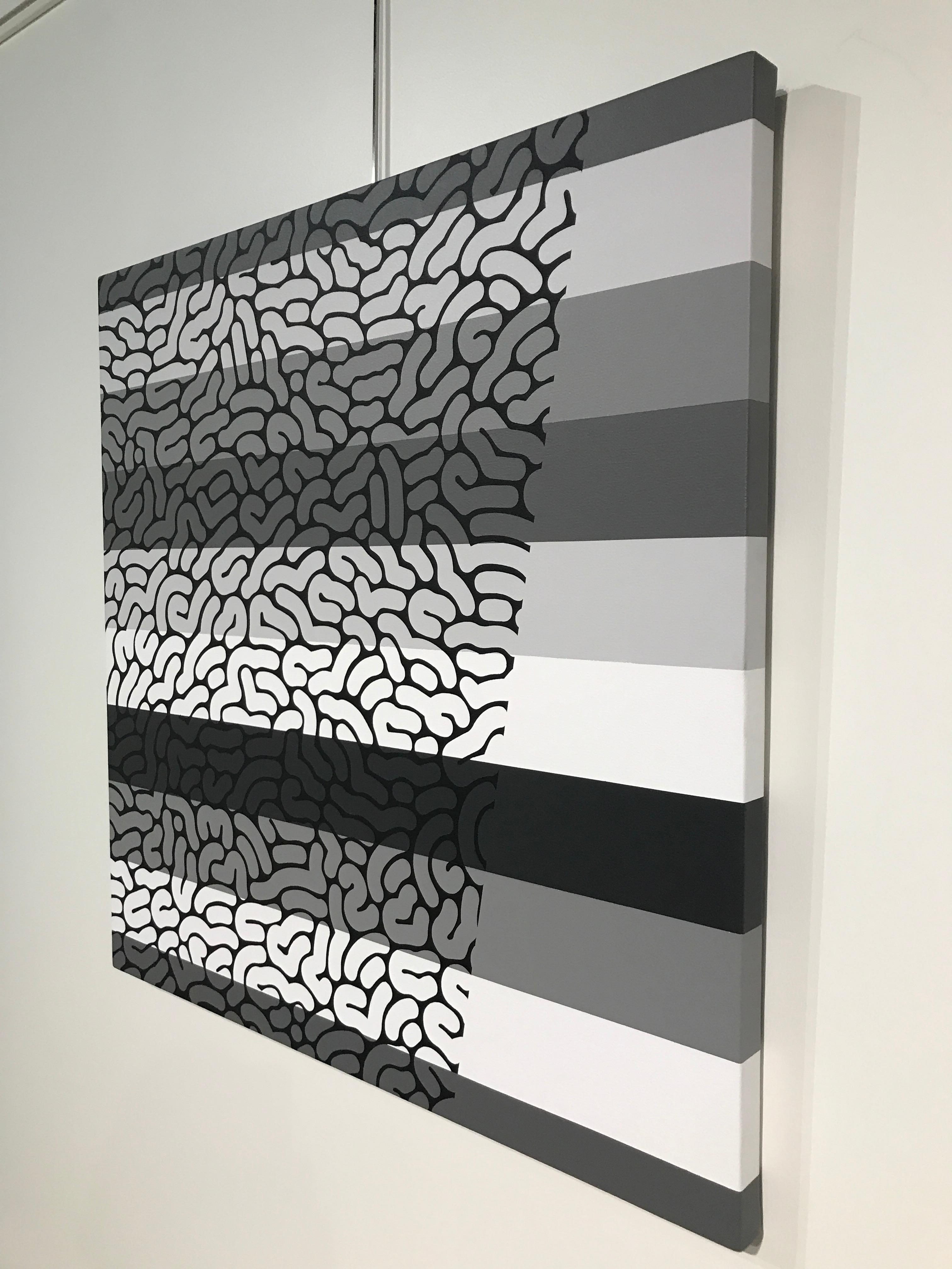 Lefty Out There - Cineraceorum Recta by Lefty Out There For Sale at ...