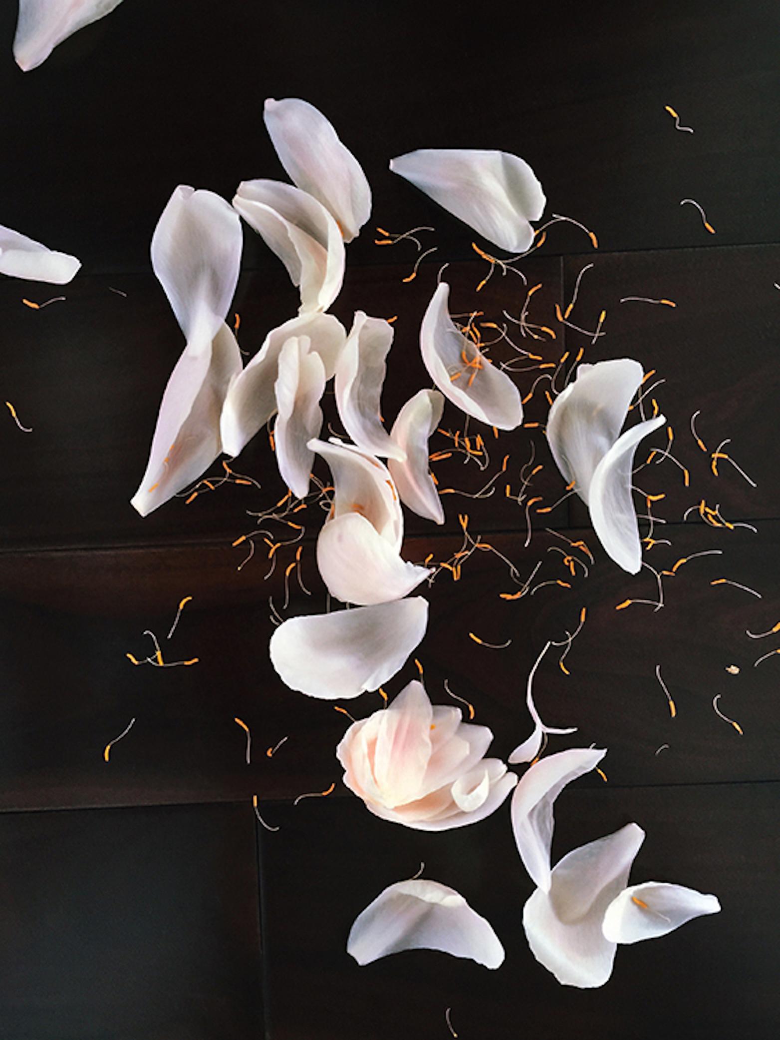 Francois Dischinger - Farnsworth Benches For Sale at 1stDibs